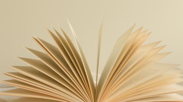 Implementing Server Side Pagination and Search Using Postgresql in ... Implementing Server Side Pagination and Search Using Postgresql in ...