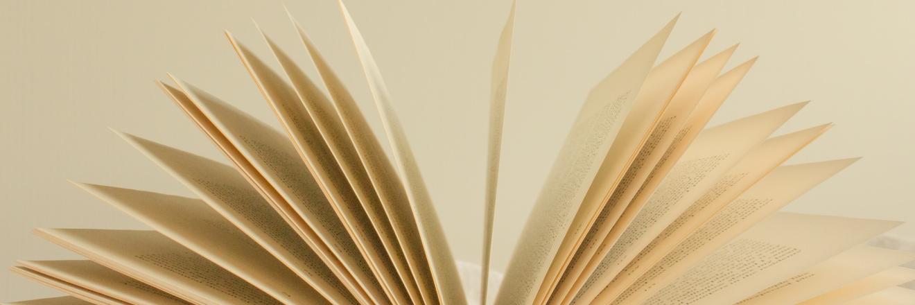 Implementing Server Side Pagination and Search Using Postgresql in ... Implementing Server Side Pagination and Search Using Postgresql in ...